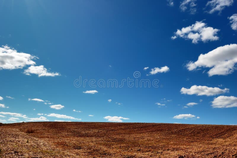 Empty Harvested Field Under Cloudy Blue Sky Stock Photo - Image of ...