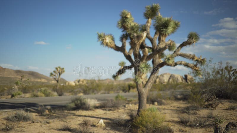 An Empty Highway through a Large Desert Valley for Green Screen Stock ...