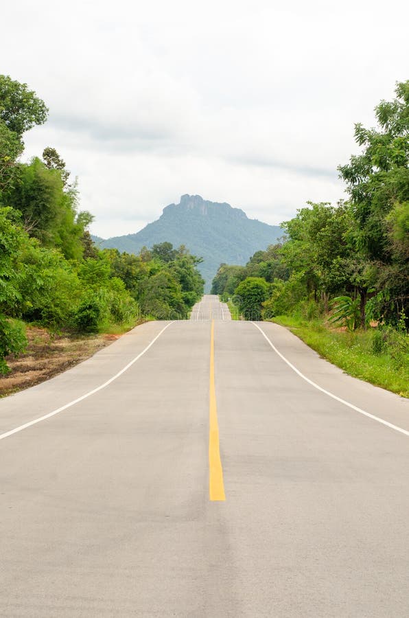 An Empty Highway Undulating Road among the Green Trees and the Huge ...