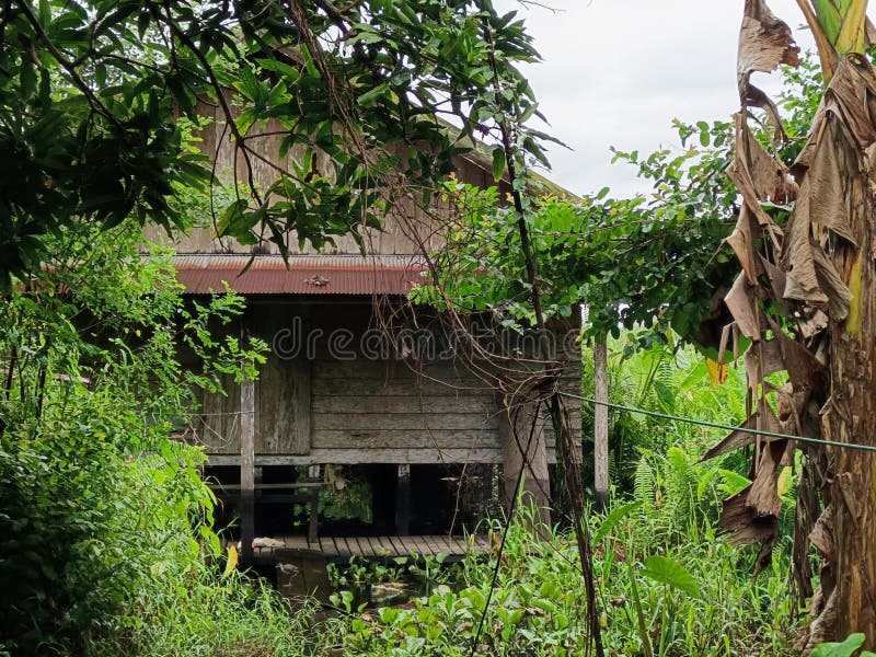 Empty House among Shady Trees Stock Image - Image of house, trees ...