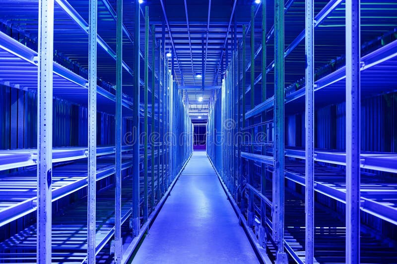 Empty Huge Distribution Warehouse with High Shelves and Pallet, Modern ...