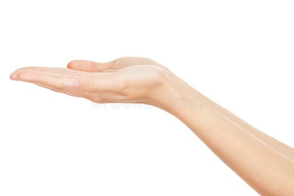 Empty Human Hands(Beauty Woman Hands) Stock Image - Image of ...