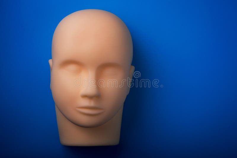A manikin head stock image. Image of face, doll, fashion - 27151727