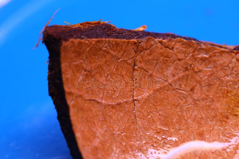 Empty Husk of Dry Coconut stock photo. Image of india - 289262698