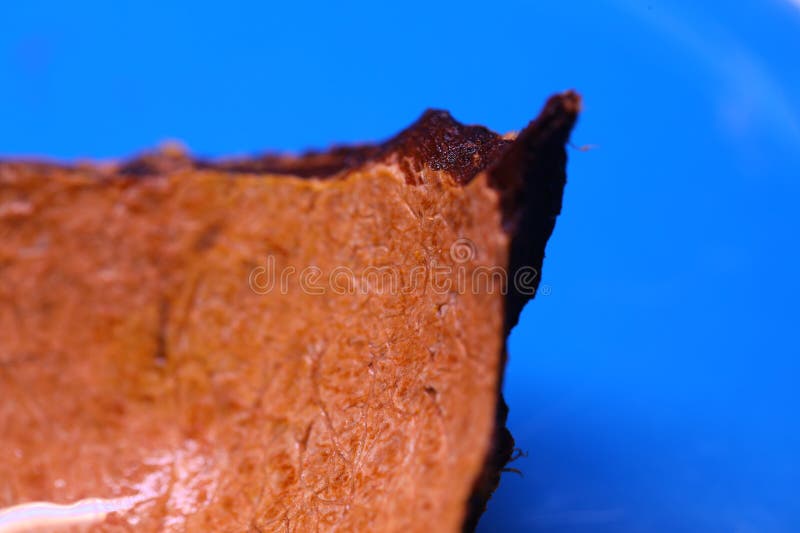 Empty Husk of Dry Coconut stock image. Image of pattern - 289262681