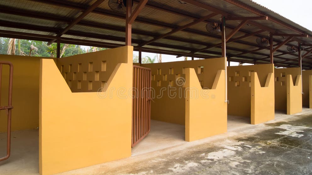 Empty Individual Stalls Horse Stable Stock Image - Image of empty ...