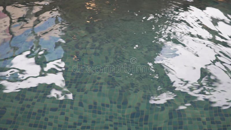 Empty Indoor Swimming Pool with Flares on Water Stock Video - Video of ...