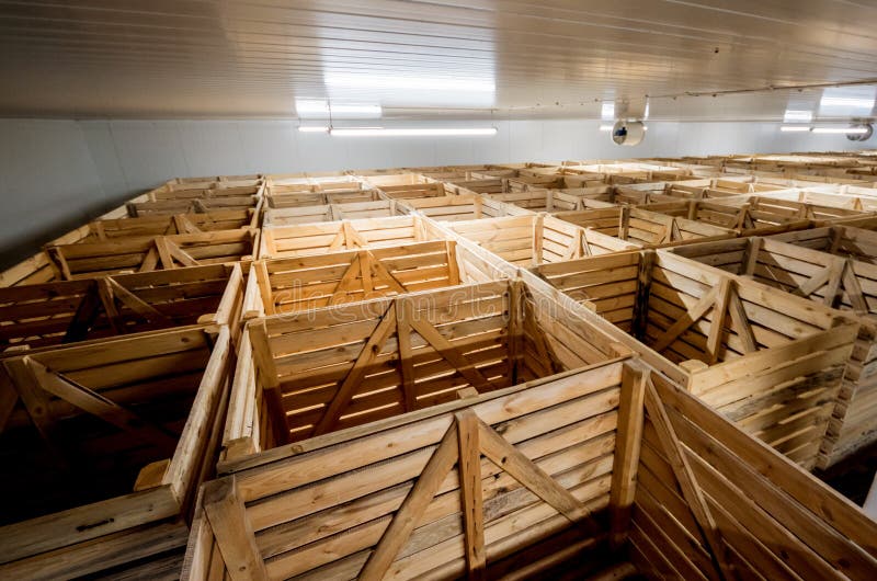 Empty Industrial Freezer Warehouse for Vegetable Storage. Stock Image ...