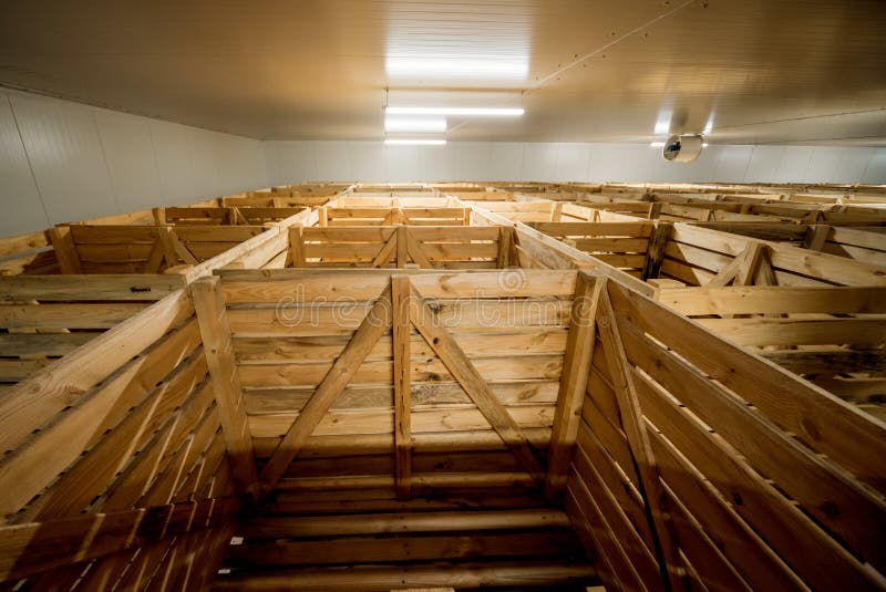 Empty Industrial Freezer Warehouse for Vegetable Storage. Stock Image ...
