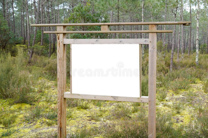 Empty Information White Blank Sign Board Panel in the Park Forest Stock ...