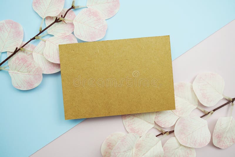 Empty Invitation Card Mockup with Pink Eucalyptus on Pink and Blue ...
