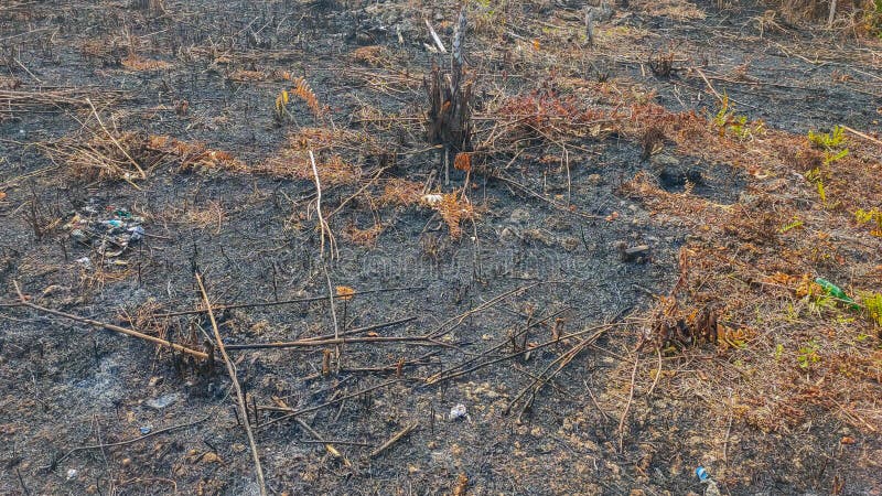 Empty Land that is Burned for the Land Clearing Process Stock Photo ...