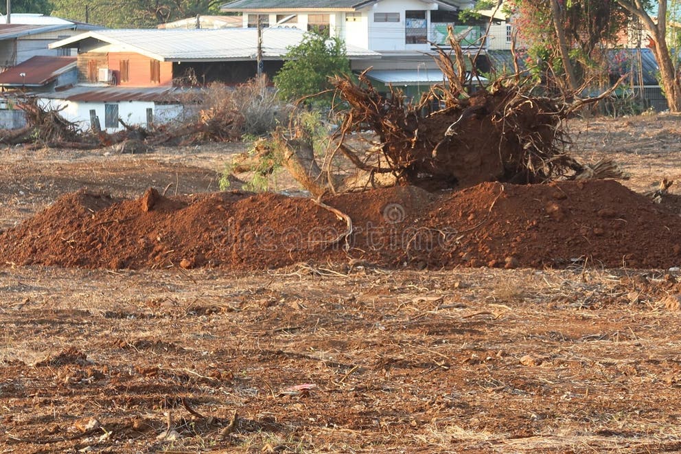 Empty Land without People, Digging, Clearing Land Stock Photo - Image ...