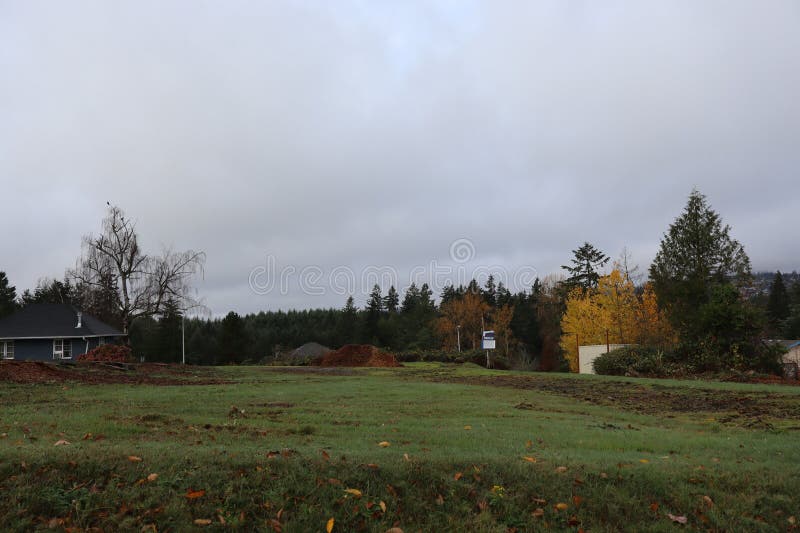 Empty Land Plot with Grass and Houses Stock Photo - Image of plain ...