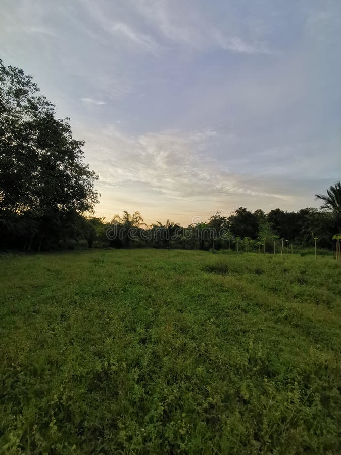 Empty land and sun stock image. Image of empty, land - 232235395