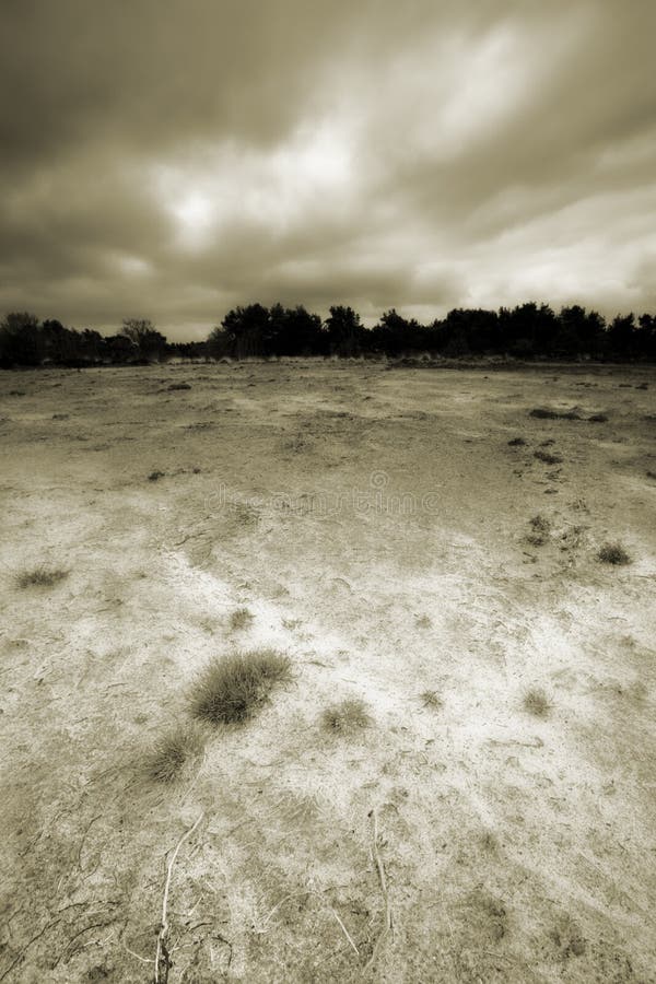 Sierra stock photo. Image of nature, beautiful, empty - 4342966