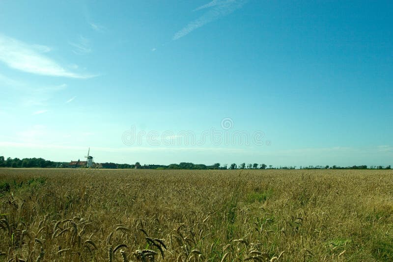 Empty landscape stock image. Image of deserted, empty - 7537857