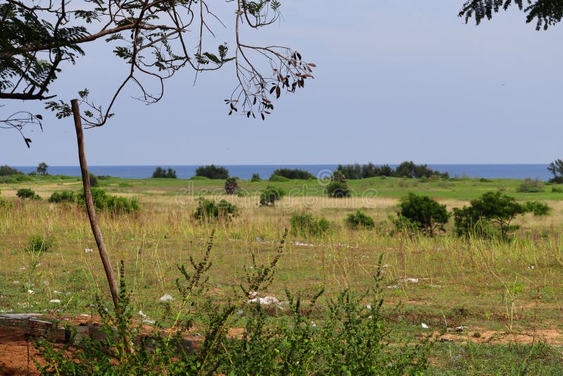 The Empty Landscape Can Be Used in a Product Template Stock Photo ...