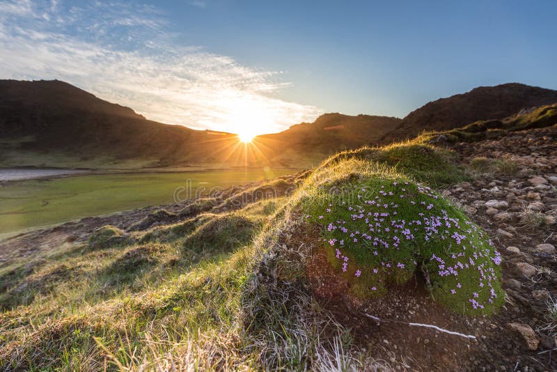 Empty landscape, stock photo. Image of landscape, valley - 56045806