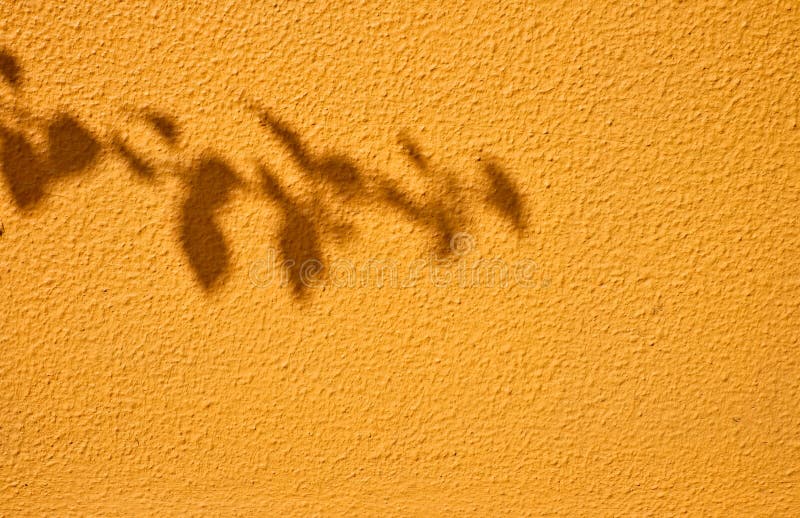 Empty Large Background Orange Color and with a Shadow of a Leafy Plant ...