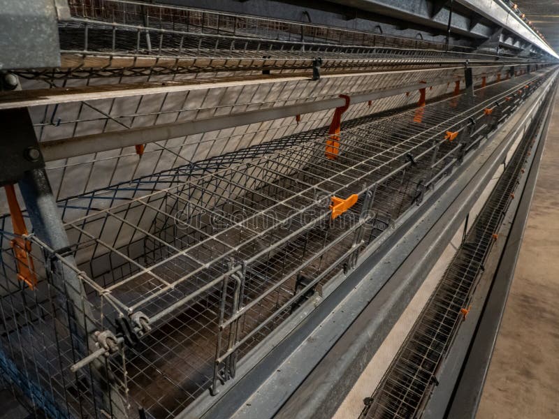 The Empty Laying Cages in the Chicken Farm Stock Image - Image of nest ...