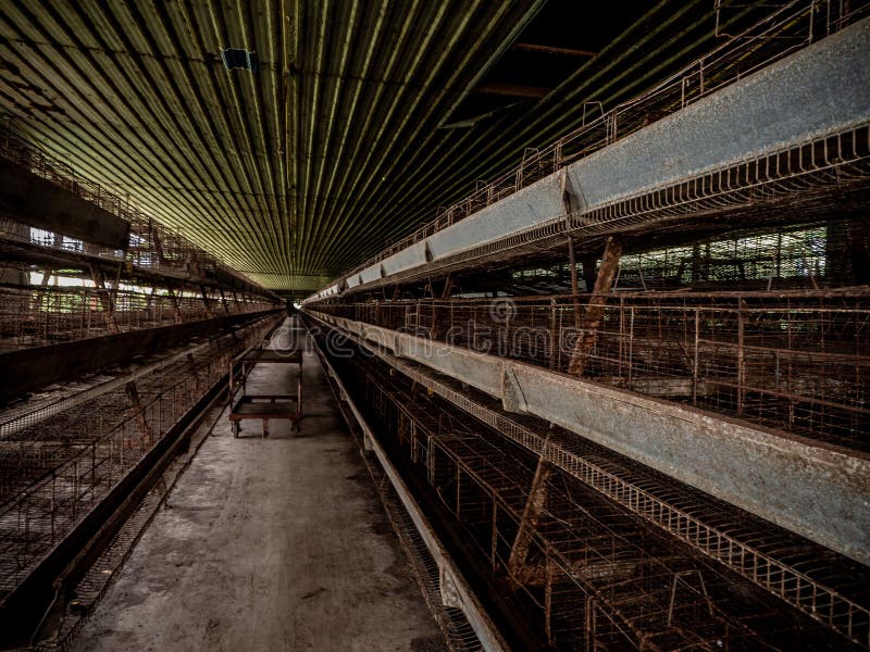 The Empty Laying Cages of Poultry Houses, Old, Decayed, Abandoned Stock ...
