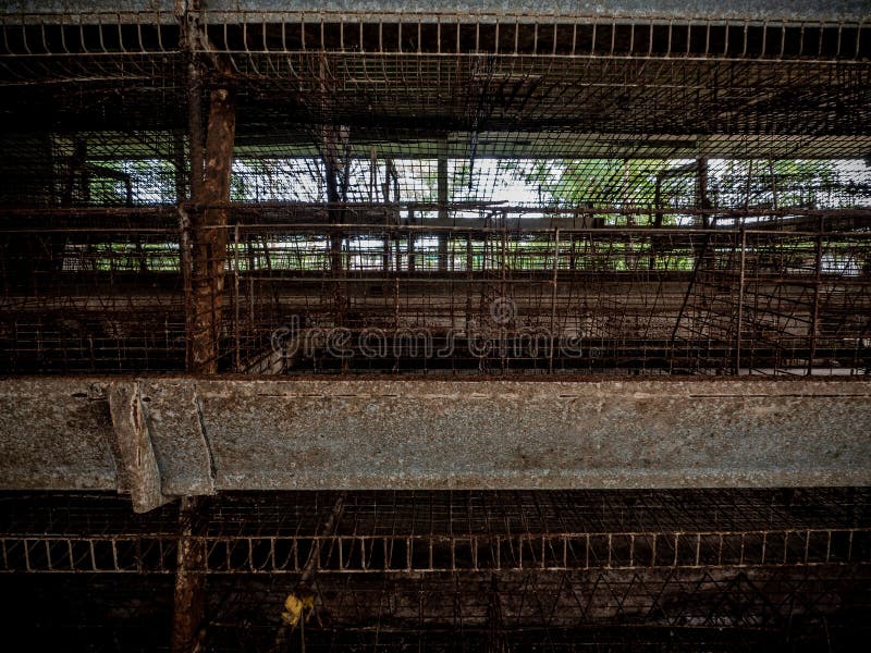 The Empty Laying Cages of Poultry Houses, Old, Decayed, Abandoned Stock ...