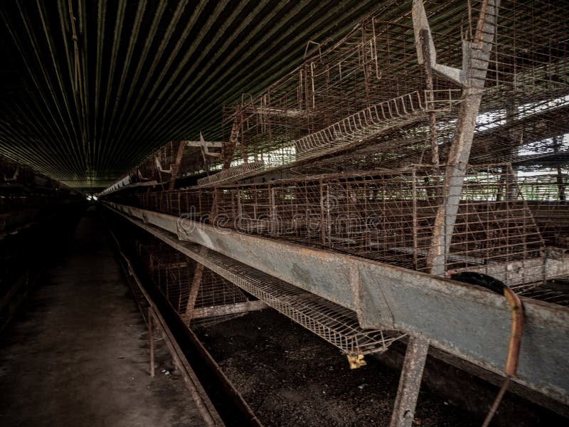 The Empty Laying Cages of Poultry Houses, Old, Decayed, Abandoned Stock ...