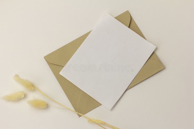 Empty Layout of a Greeting or Invitation Card on a Light Background ...