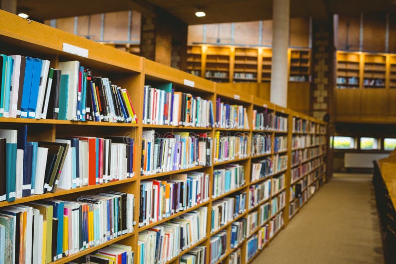Empty Library Shelves in a New Library. Stock Photo - Image of cabinet ...