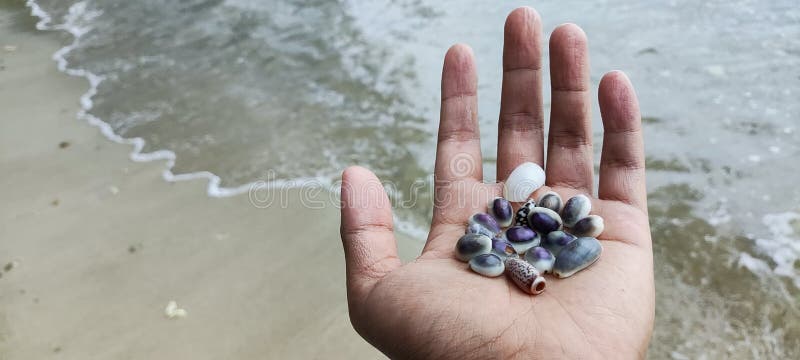 Empty Life on the Living Hand Stock Image - Image of life, ocean: 277273855