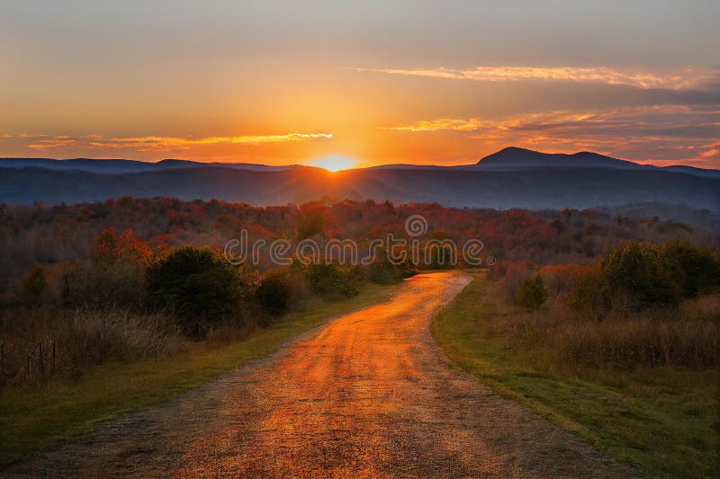 An Empty Long Road in the Middle of an Open Field. Stock Illustration ...