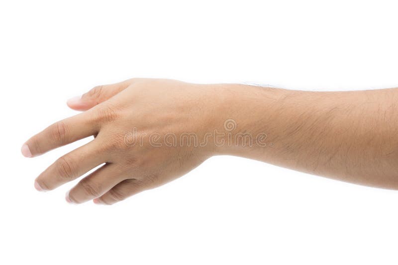 Empty Man Hand on White Background, Check Hand Stock Image - Image of ...