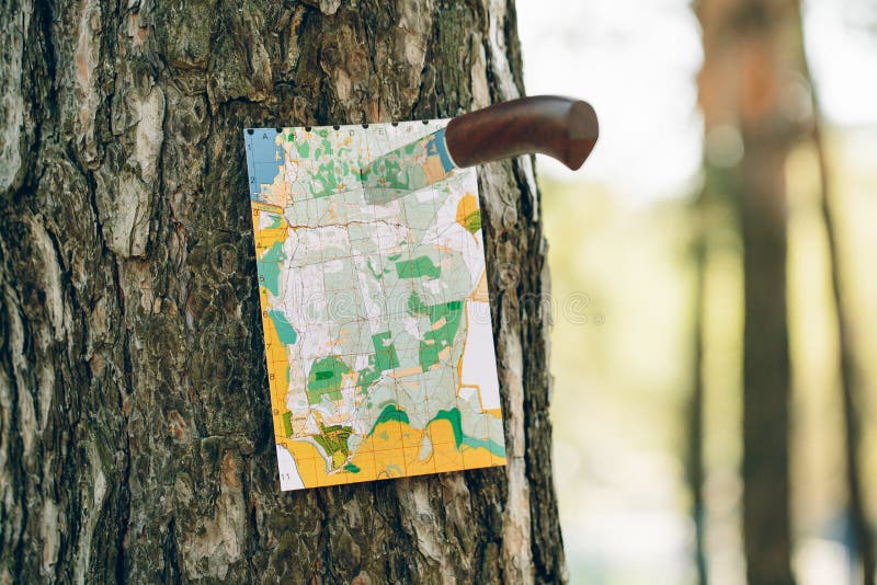 Empty Map Stuck into a Tree with a Knives Stock Photo - Image of ...