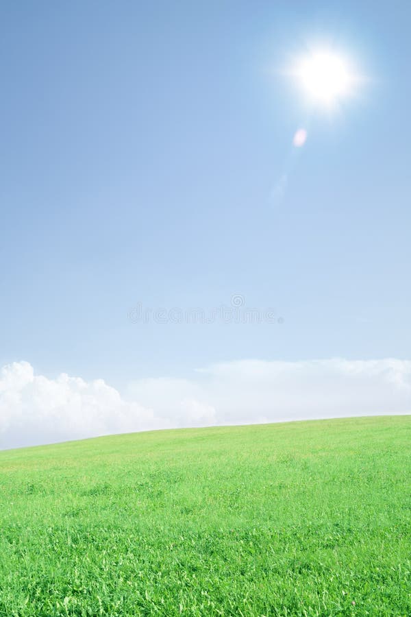 Empty meadow with sun stock photo. Image of color, farm - 21555116