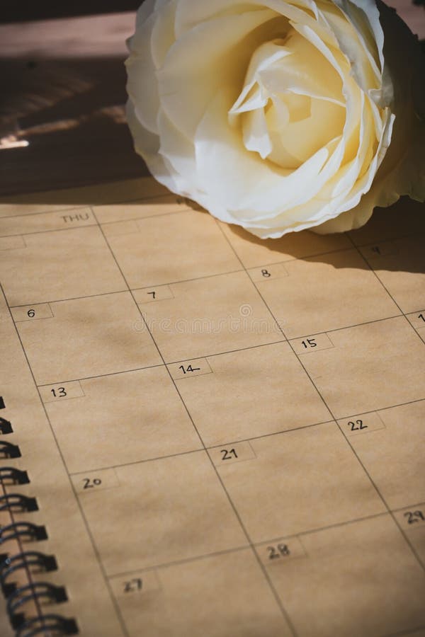 Empty Message in Schedule Book of Calendar with White Rose Flower Stock ...