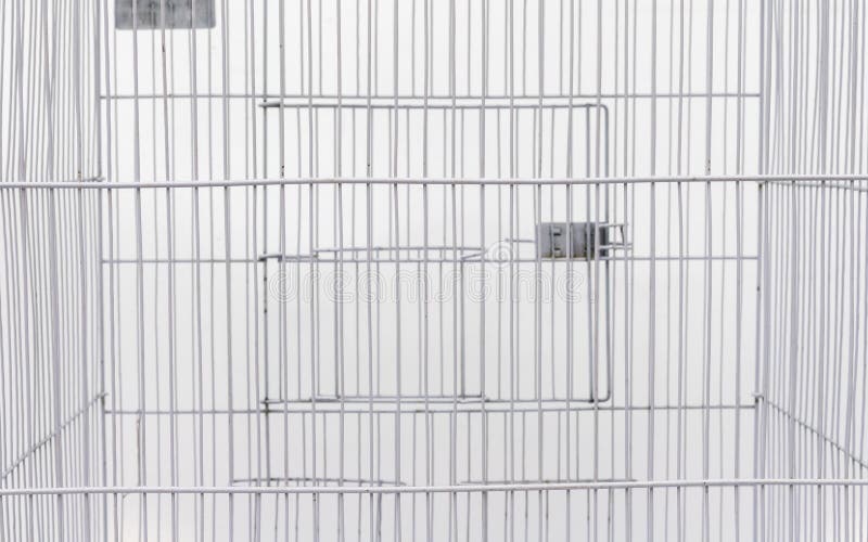 Empty Metal Bird Cage Inside View Close-up. Selective Focus with ...