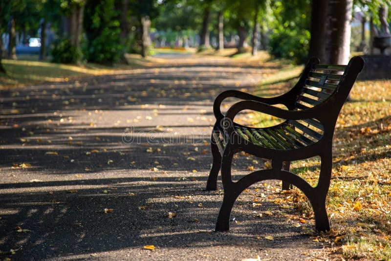 An Empty Metal Memorial Bench in a Park in Late Summer Stock Photo ...