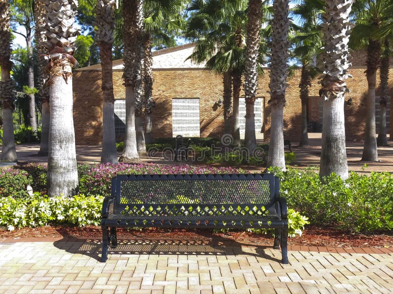Empty Metal Park Bench stock photo. Image of tree, palm - 38638734