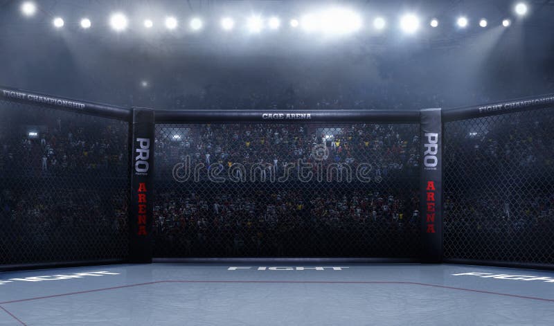 Empty Mma Arena Side View Under Lights. Complete Tribune. Stock Image ...