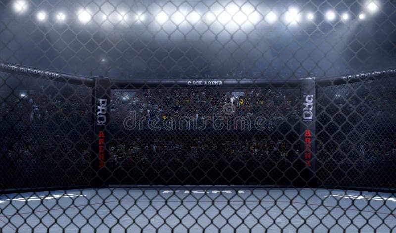 Empty Mma Arena Side View Under Lights. Complete Tribune. Stock Image ...