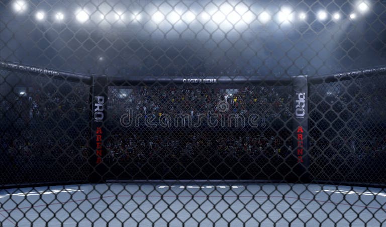 Empty Mma Arena Side View Under Lights. Complete Tribune. 3D Rendering ...