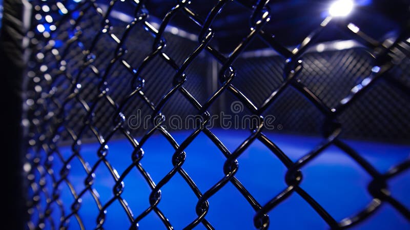 Empty MMA Cage Ready for the Next Fierce Battle in the Ring Stock Image ...
