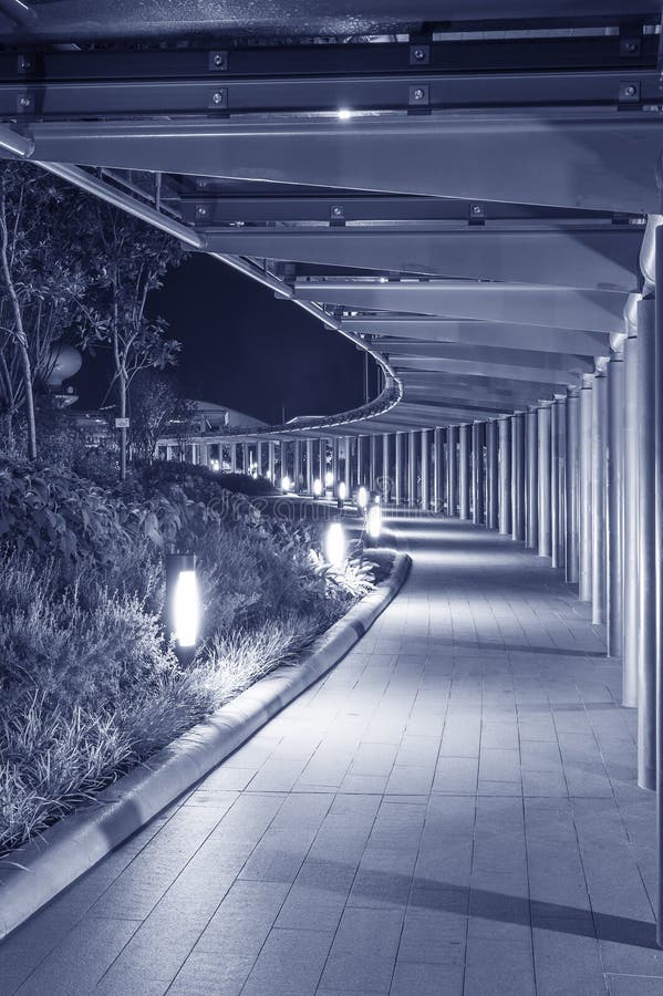 Empty Modern Pedestrian Walkway in Park at Night Stock Photo - Image of ...
