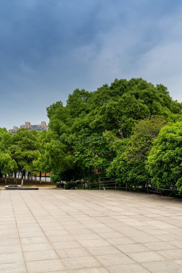 Empty, Modern Square and Skyscrapers in Modern City Stock Image - Image ...