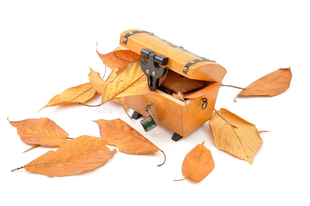 Empty money box stock image. Image of lost, coffer, safe - 14359077