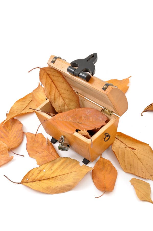 Empty money box stock image. Image of caddy, funds, hoard - 14359079