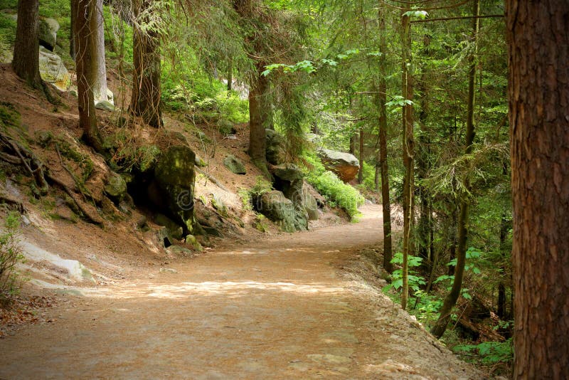 Empty Mountain Trail in Green Forest Stock Image - Image of landscape ...