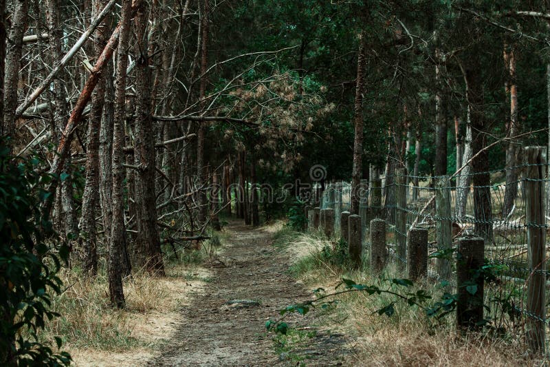 Pathway Unclear Stock Photos - Free & Royalty-Free Stock Photos from ...