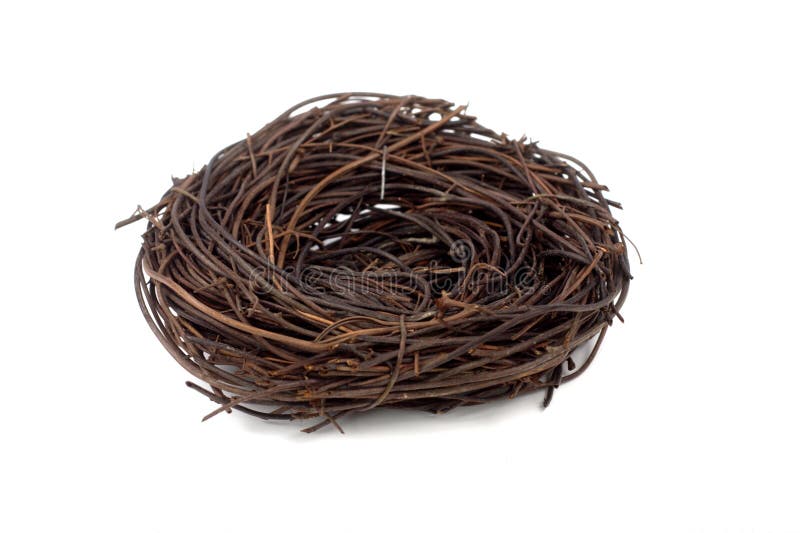 Empty Nest stock photo. Image of growth, built, empty - 12628926